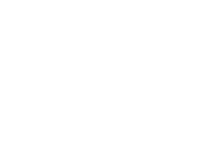 HiCAM Brochure Download - lambertinstruments.com