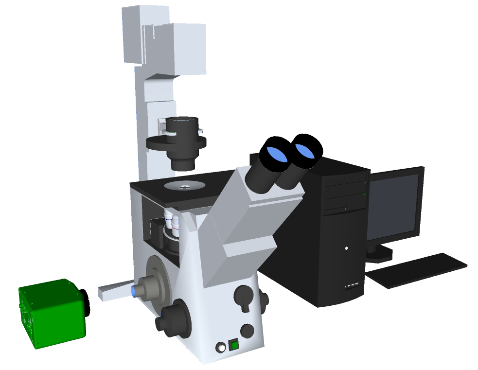 HiCAM Fluo overcomes high-speed fluorescence imaging challenge in microfluidics ...