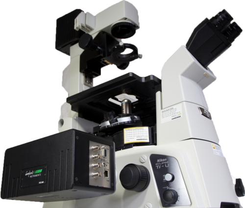 High-speed in vivo imaging of a zebrafish heart - lambertinstruments.com
