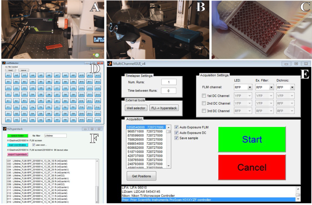 Automated lifetime-based screening and characterization of fluorescent proteins ...
