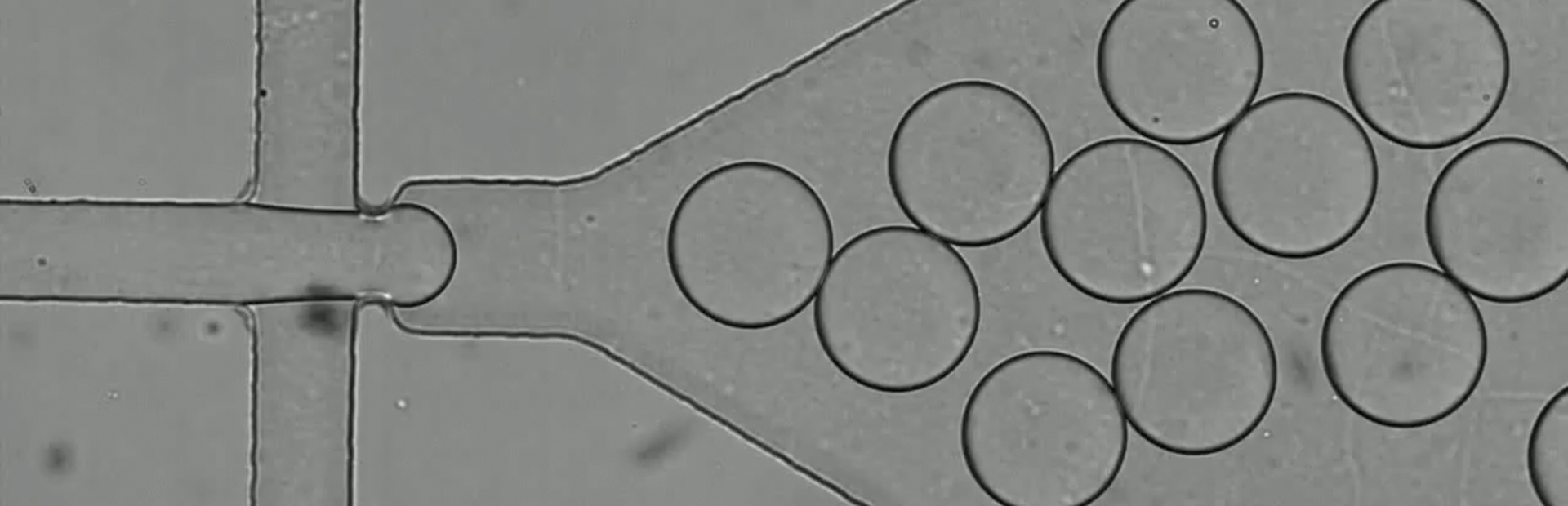 Microfluidics cameras - lambertinstruments.com